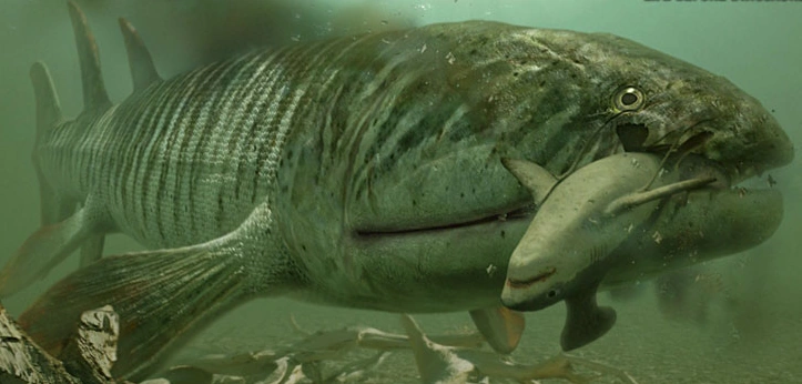 Hyneria | Scratchpad | Fandom