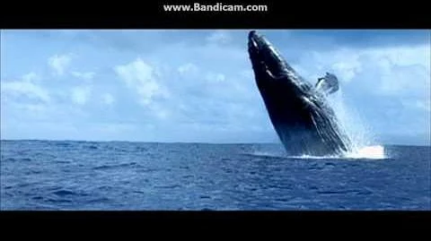 Opening to Earth 2009 DVD | Scratchpad | Fandom