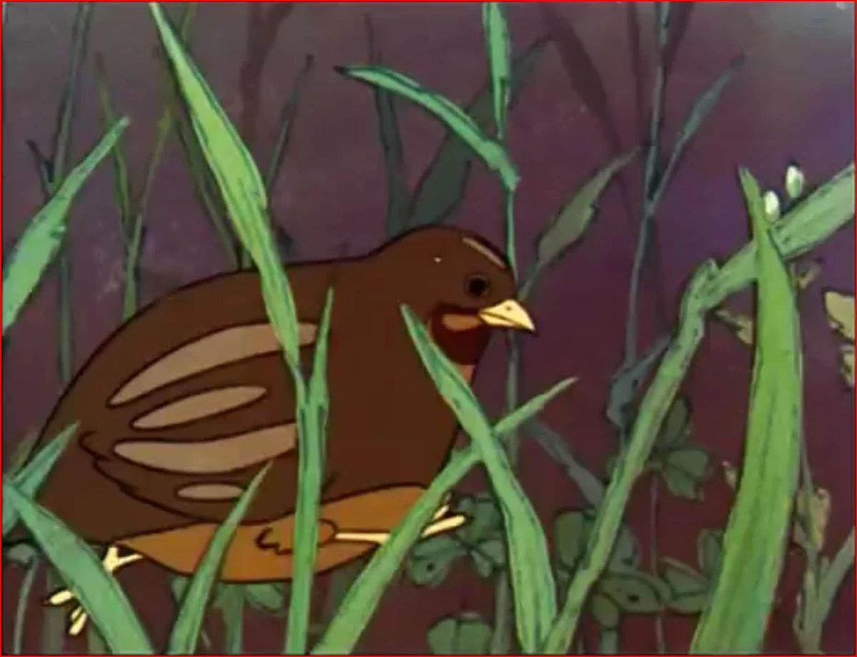 Bird (character) | Scratchpad | Fandom