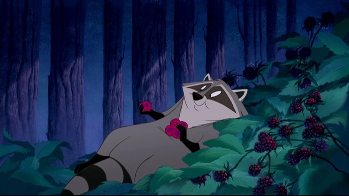 Meeko | Scratchpad | Fandom