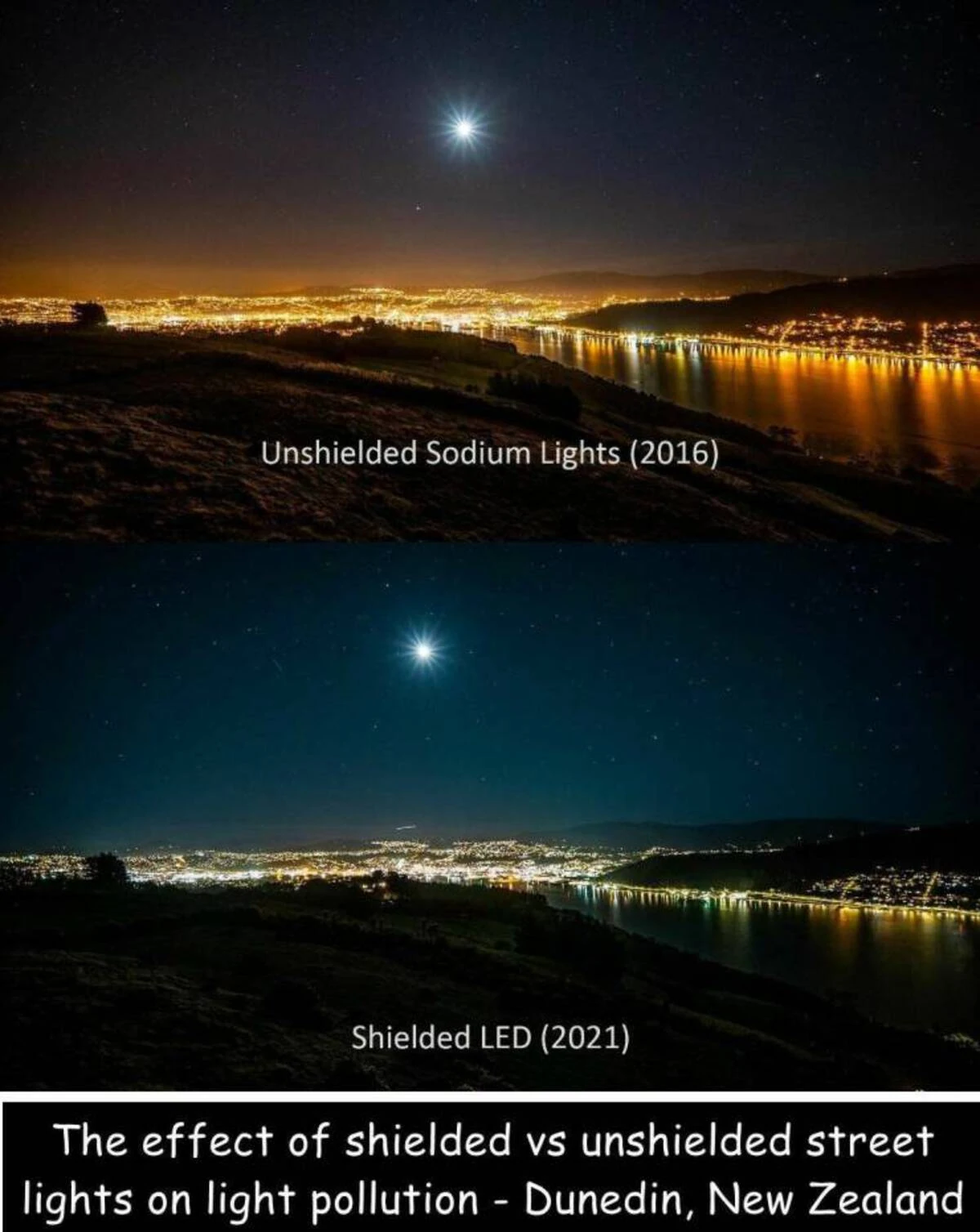 (2019 - 2020) YouTube Movies | Scratchpad | Fandom