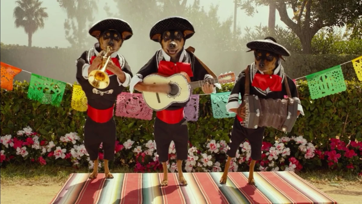 Mariachi Dogs | Scratchpad | Fandom