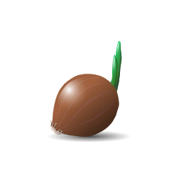 Hagyma | Scratchpad | Fandom