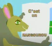 Kangaroo (The ABC’s of French) | Scratchpad | Fandom
