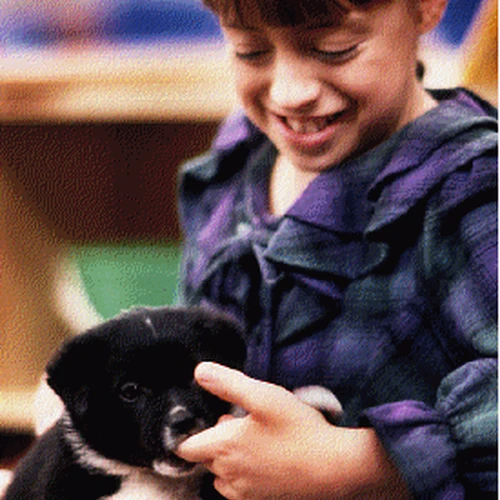 Susannah Wetzel Barney