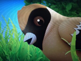 Waxwing the Bird (character) | Scratchpad | Fandom