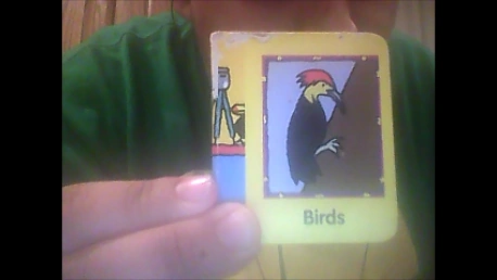 Animals on Safari Vol 19: Birds (Part 3) (video) | Scratchpad | Fandom