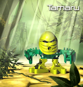 Tamaru | Scratchpad | Fandom