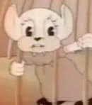 Susie the White Mouse | Scratchpad | Fandom