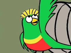 Splendid Bird from Paradise | Scratchpad | Fandom