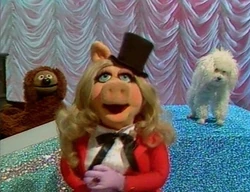 The Best of The Muppet Show and Sesame Street Volume 14 | Scratchpad ...