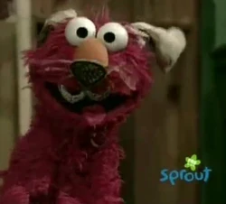 Neighborhood animals | Scratchpad | Fandom