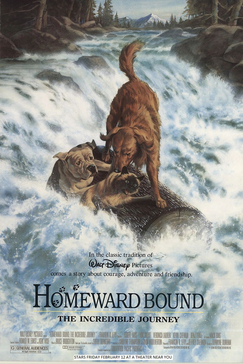 Opening To Homeward Bound The Incerdible Journey AMC Theaters (1993 ...