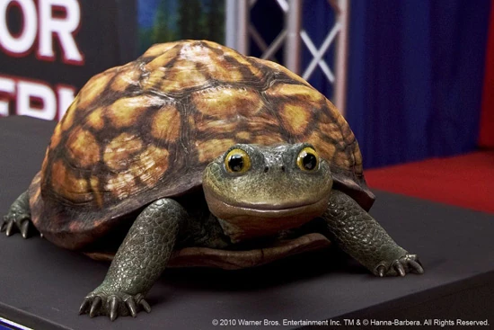 Frog-Mouthed Turtle | Scratchpad | Fandom