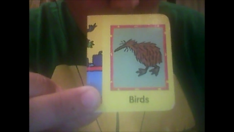 Animals on Safari Vol 17: Birds (Part 1) (video) | Scratchpad | Fandom