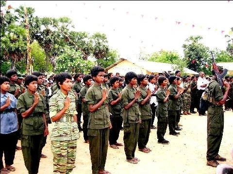 Squirrel Youth Liberation Army | Scratchpad | Fandom