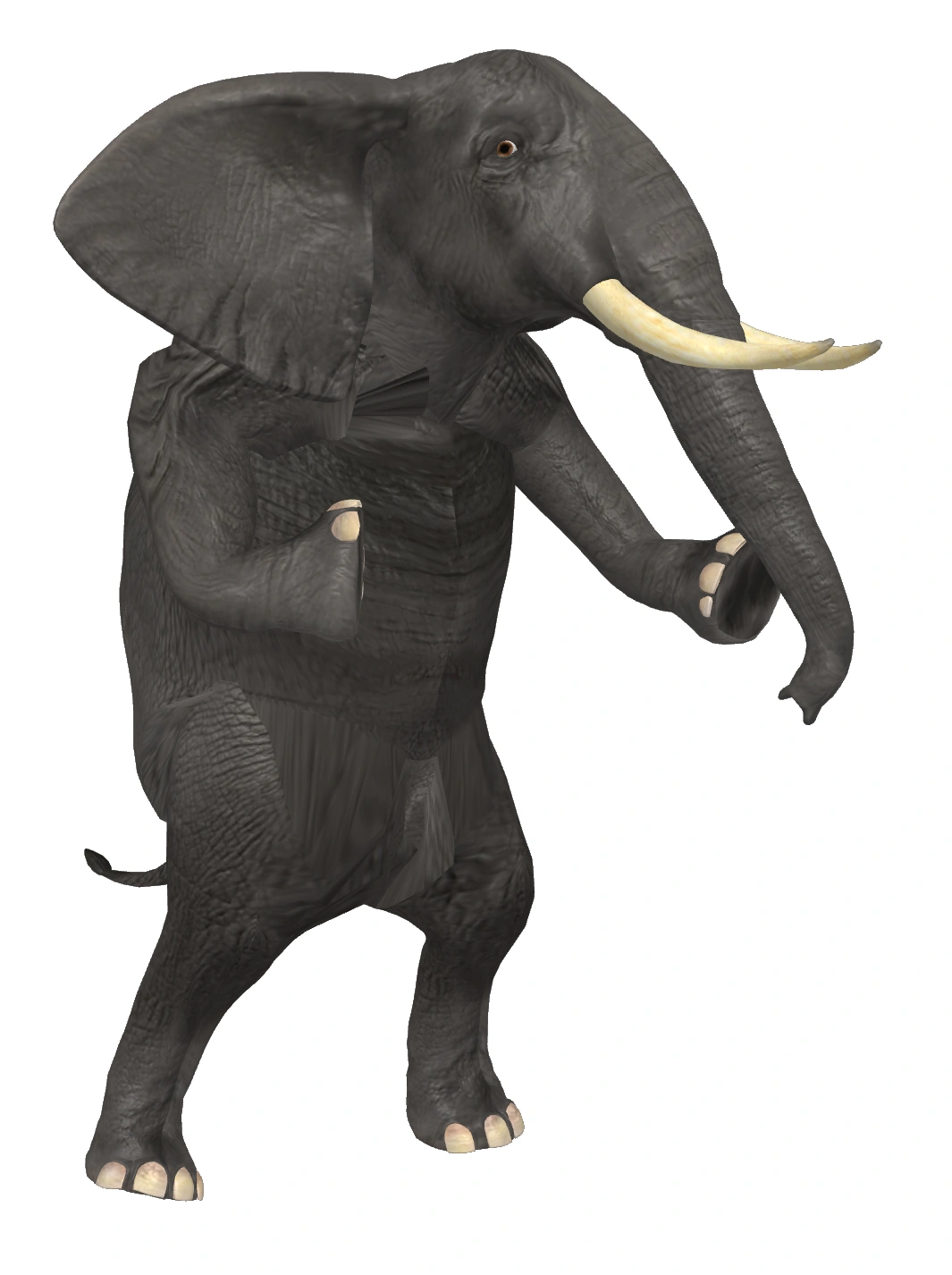 Tusky the Elephant (Character) | Scratchpad | Fandom