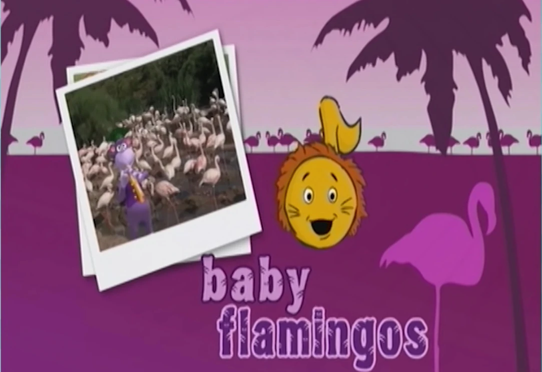 Baby Flamingos (Baby Genius song) | Scratchpad1 Wiki | Fandom