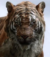 Amphibia (Super Mario Studios Style) | Scratchpad II Wiki | Fandom