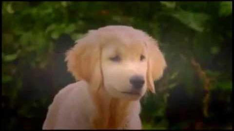 B-Dawg the Magnificent | Scratchpad II Wiki | Fandom