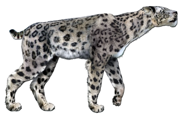 Homotherium | Scratchpad Video Wiki | Fandom