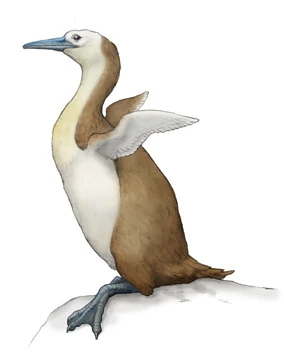 Plotopterum | Scratchpad Video Wiki | Fandom