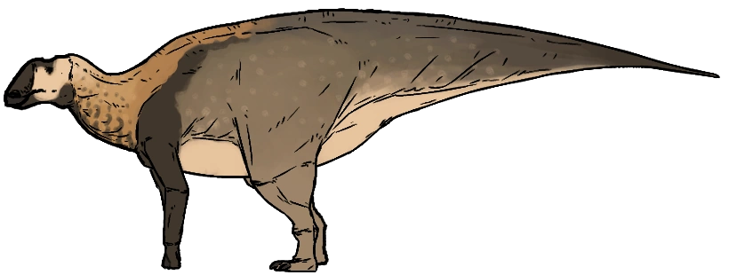 Jaxartosaurus | Scratchpad Video Wiki | Fandom