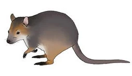 Cookeroo | Scratchpad Video Wiki | Fandom