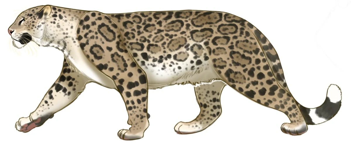 European Ice Age Leopard | Scratchpad Video Wiki | Fandom