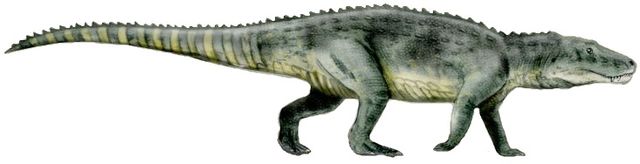 Saurosuchus Scratchpad Video Wiki Fandom