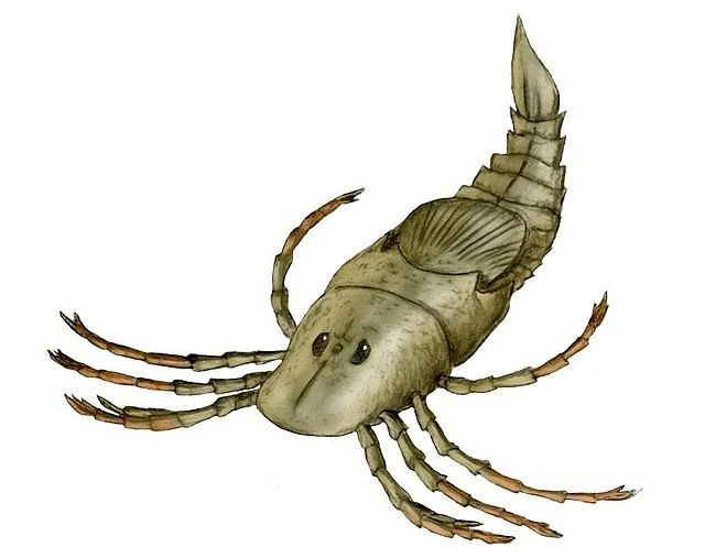 Megarachne | Scratchpad Video Wiki | Fandom