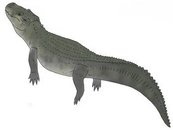 Anthracosuchus | Scratchpad Video Wiki | Fandom
