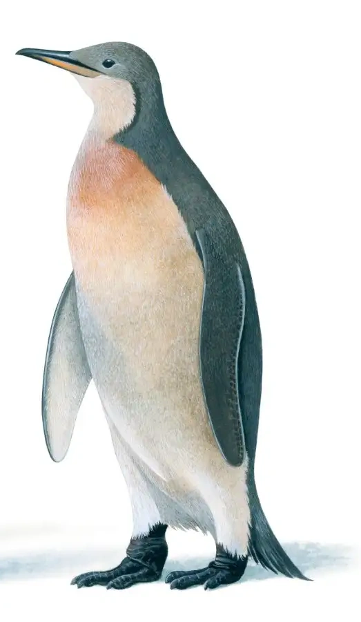 Colossus Penguin | Scratchpad Video Wiki | Fandom