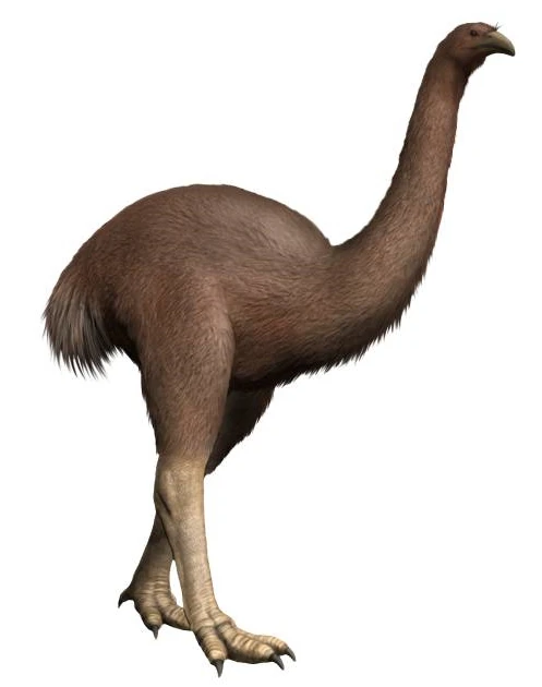 South Island Giant Moa | Scratchpad Video Wiki | Fandom