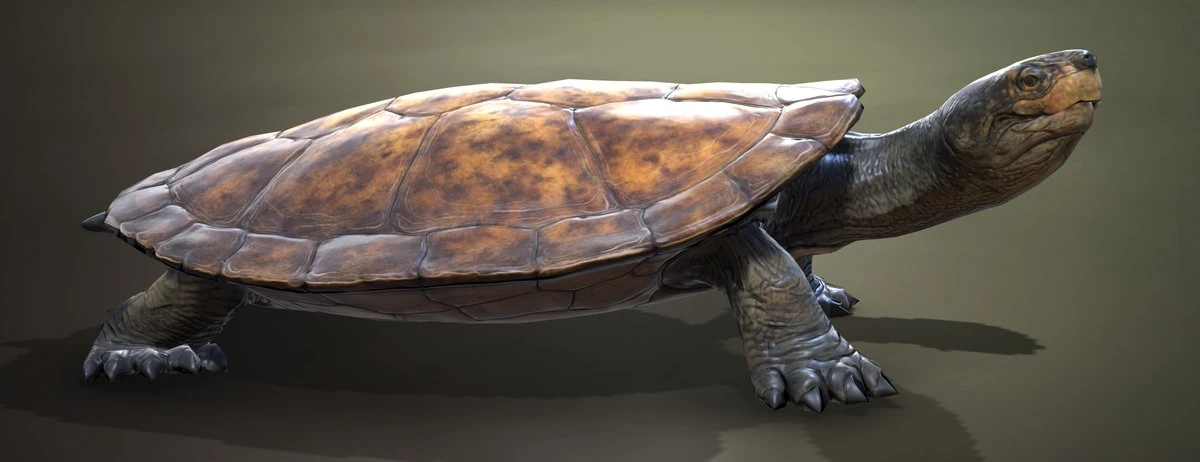 Basilemys | Scratchpad Video Wiki | Fandom