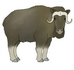 Bootherium | Scratchpad Video Wiki | Fandom