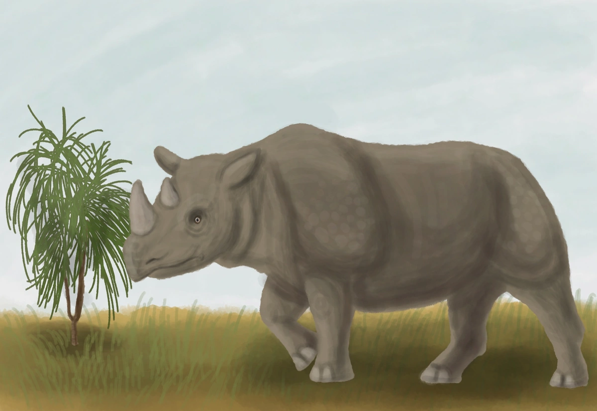 Merck's Rhinoceros | Scratchpad Video Wiki | Fandom