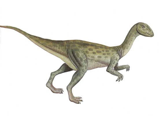 Fulgurotherium | Scratchpad Video Wiki | Fandom