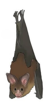 Necromantis | Scratchpad Video Wiki | Fandom