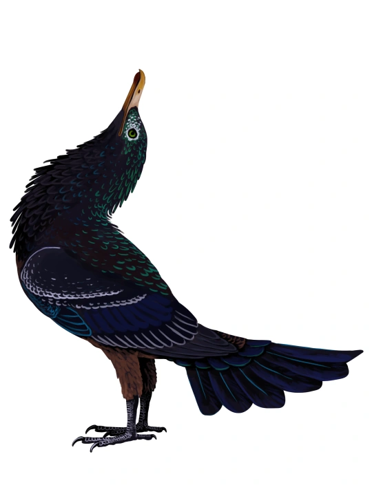 Cerebavis | Scratchpad Video Wiki | Fandom