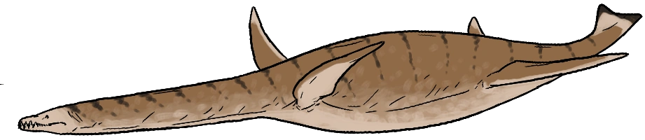 Kimmerosaurus | Scratchpad Video Wiki | Fandom