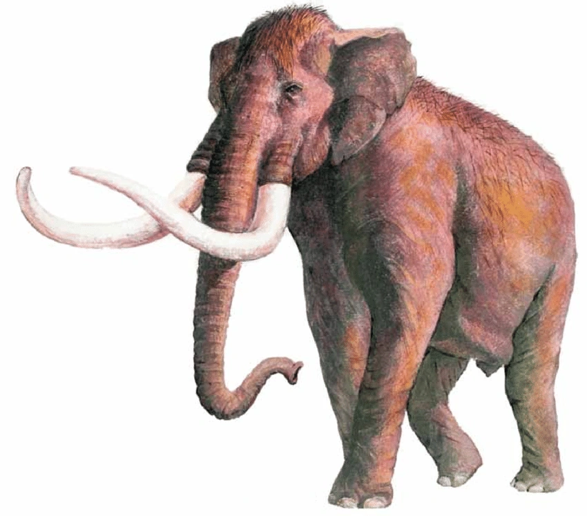 Southern Mammoth | Scratchpad Video Wiki | Fandom