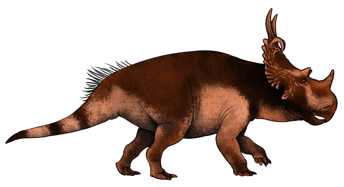 Spinops | Scratchpad Video Wiki | Fandom