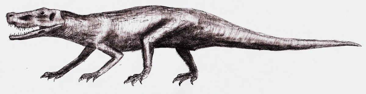 Fasolasuchus | Scratchpad Video Wiki | Fandom