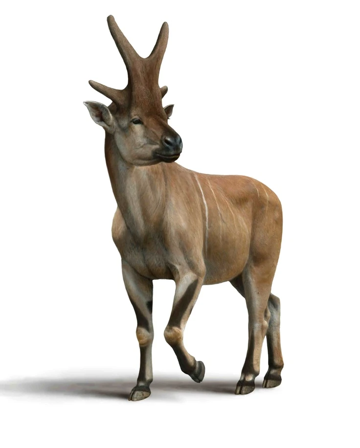 Bramatherium | Scratchpad Video Wiki | Fandom