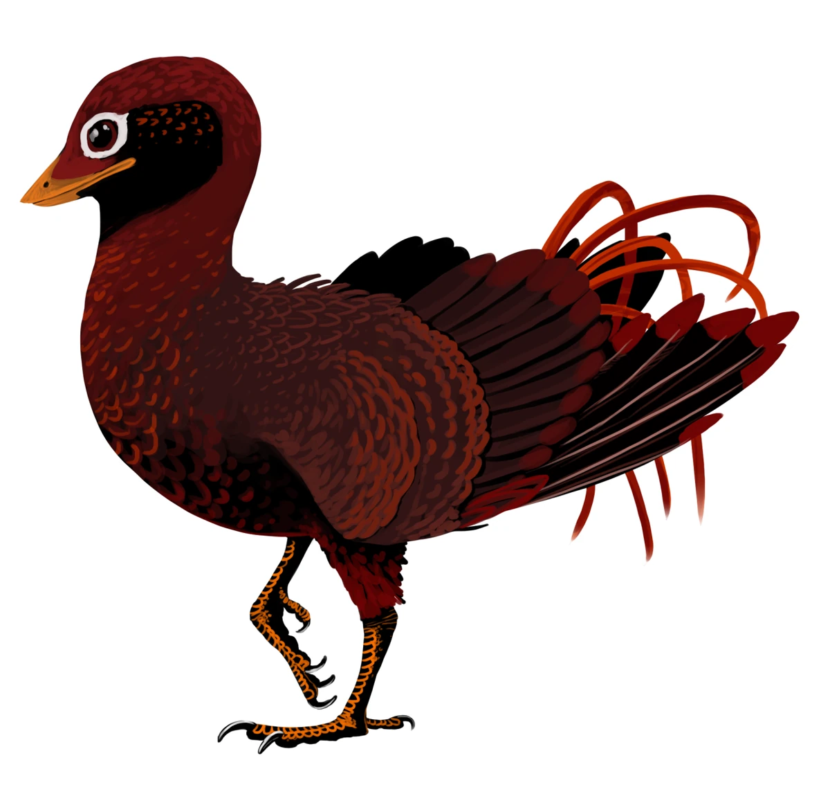 Gobipteryx | Scratchpad Video Wiki | Fandom