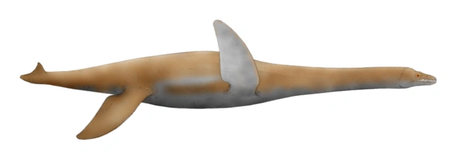 Cryptoclidus | Scratchpad Video Wiki | Fandom