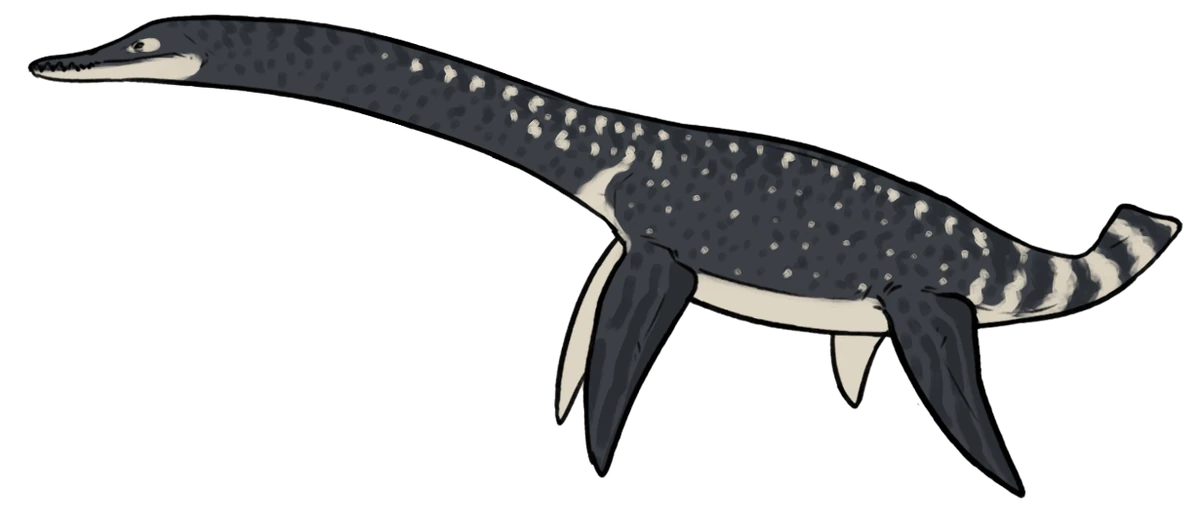 Secrets of the Cretaceous Marine Reptiles | Scratchpad Video Wiki | Fandom