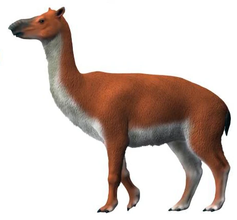 Theosodon | Scratchpad Video Wiki | Fandom