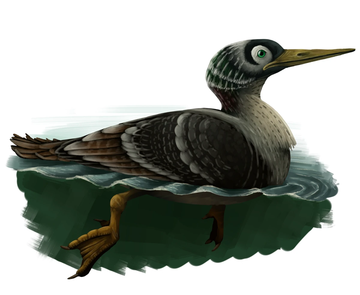 Polarornis | Scratchpad Video Wiki | Fandom